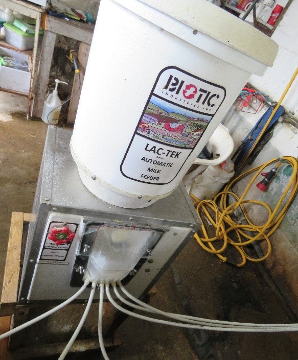 Artificial Lamb Rearing: Part 1 - A Producer Project - Sheep and Goat ...