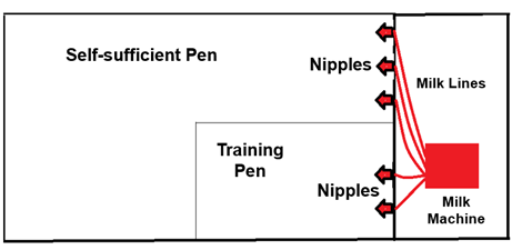 Artificial Lamb Rearing: Part 1 - A Producer Project - Sheep and Goat ...