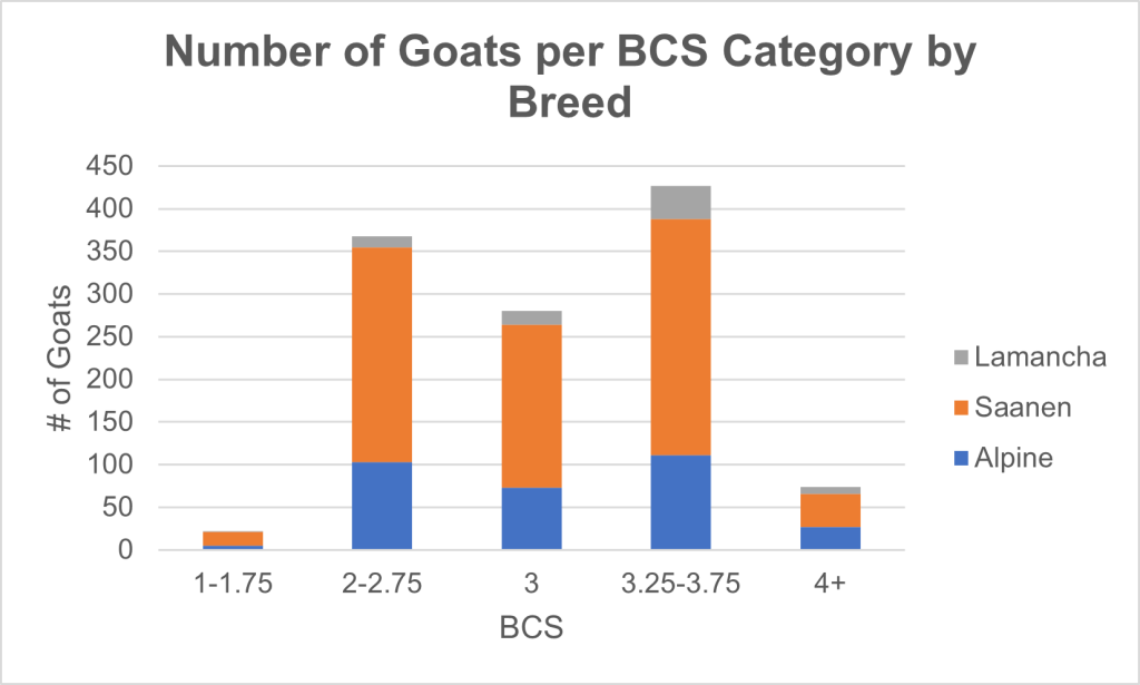 Body Condition Scoring (BCS) Study - Sheep and Goat Production